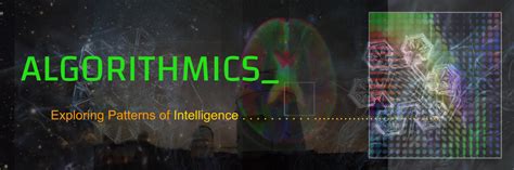 Algorithmics Site Banner Karlina Ray Beringer Free Download Borrow