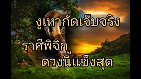 ดูดวงราศีพิจิก ดวงนี้เเข็งสุด งูเหากัดเจ็บจริง Youtube