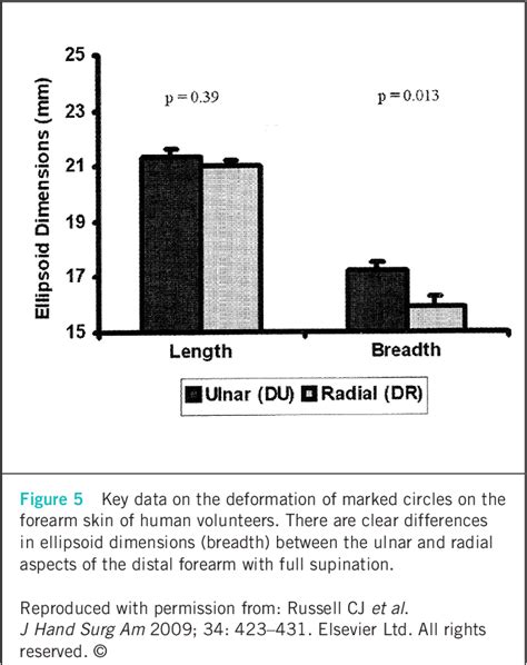Figure 5 From Functional Anatomy Of The Distal Radioulnar Joint In