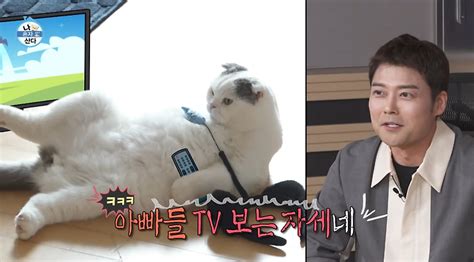 인생 N회차 고양이의 자세 에브리원해