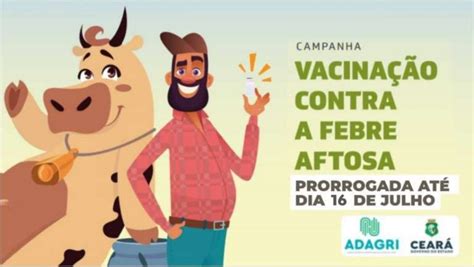 Primeira Etapa De Vacinação Contra Febre Aftosa é Estendida Até O Dia