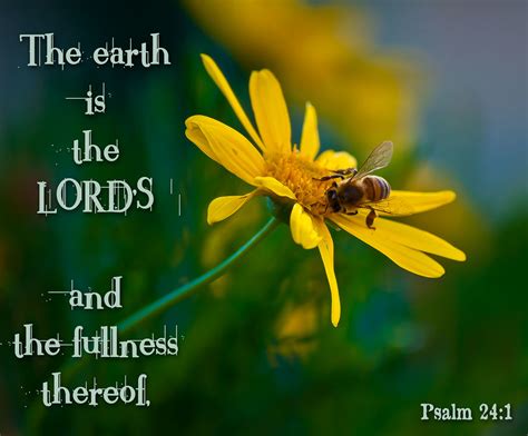 Psalm 24 1 God Created And Sustains The Whole Earth It Be Flickr