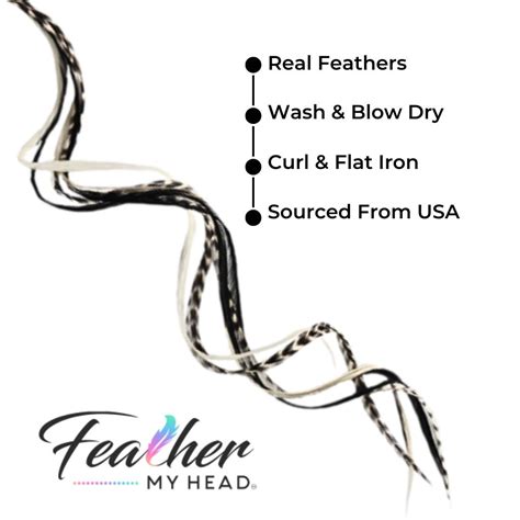 Hair Feathers Natural Black White Feather Extensions Feather My Head