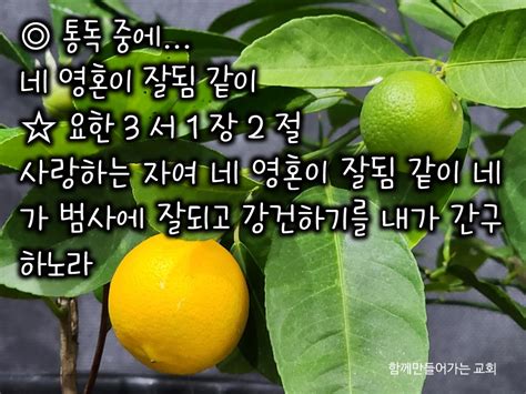 함께 통독 중에 네 영혼이 잘됨 같이 ☆ 요한3서 1 장 2 절 사랑하는 자여 네 영혼이 잘됨 같이 네가 범사에 잘되고