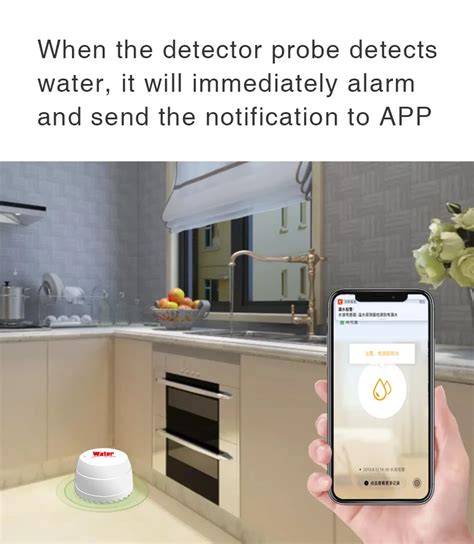 Capteur de porte et de fenêtre Détecteur de fuite eau WiFi alarme