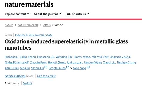 纳米人 Nature Materials：金属玻璃纳米管氧化诱导的超弹性