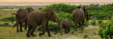 Vols Pas Chers à Partir De Paris à Libreville