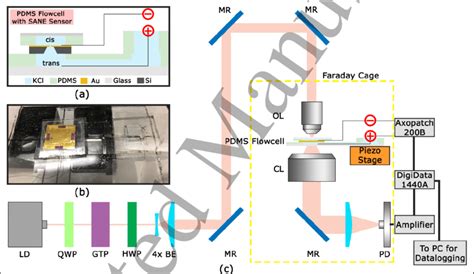 A Pdms Flow Cell Cross Sectional View With Sane Sensor B Image Of