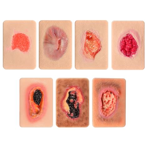 Pocket Sized Granulation Tissue Wound Simulation Model Set Shopee