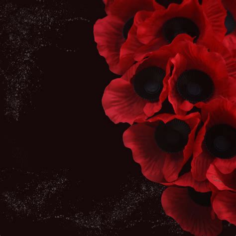 Remembrance Day Ceremony Beaumont
