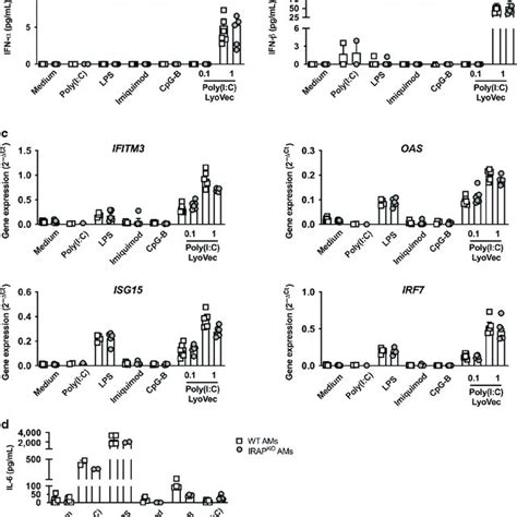 List Of Primers Name Of Gene Forward Primer To Reverse Primer Download Scientific