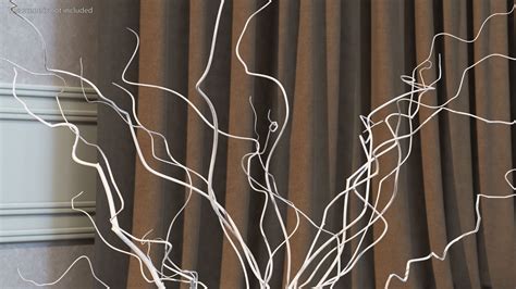 White Curly Willow Branches In Black Vase 3d Model 29 3ds Blend