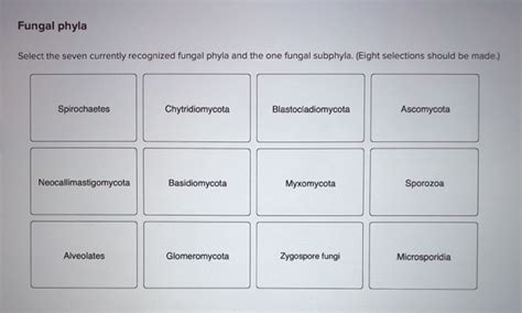 Solved Fungal Phyla Select The Seven Currently Recognized