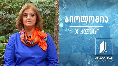 ბიოლოგია X კლასი საკვების შემადგენლობა ვიტამინები და მათი დანიშნულება ტელესკოლა Youtube