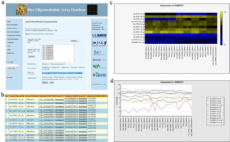 Process Of Gene Expression Profiling Analysis In Road A A Snap