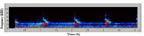 Spectrogram Showing Territorial Call Download Scientific Diagram
