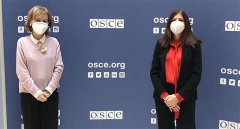 Osce Representative On Freedom Of The Media Meets With Ambassador Of