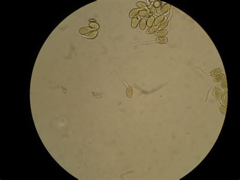 K S K S Science Lab