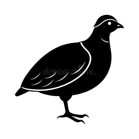 Quail Bird Silhouette Vector Isolated On White Vector Illustration