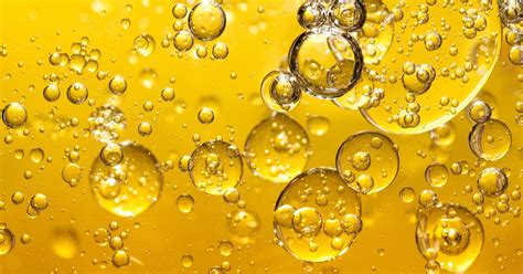 Biodegradable Vs Readily Biodegradable Whats Different Santie Oil