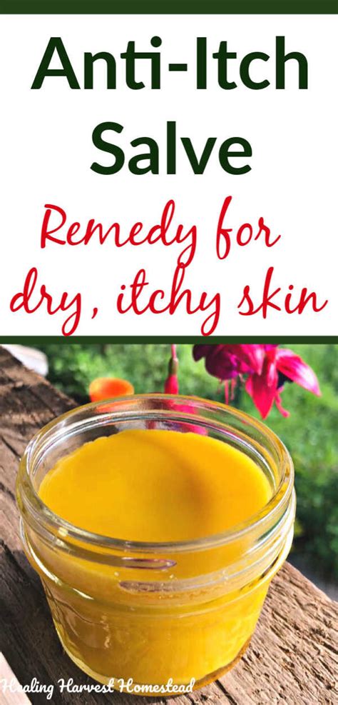 Make A Healing Herbal Anti Itch Balm — All Posts Healing Harvest Homestead