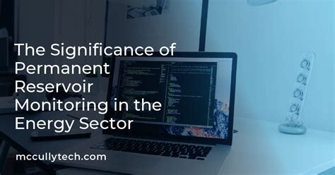 The Significance Of Permanent Reservoir Monitoring In The Energy Sector