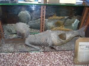 Banff Merman On Display At The Indian Trading Post In Banff Alberta