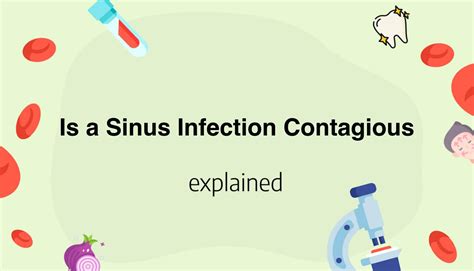Is A Sinus Infection Contagious All Questions Answered