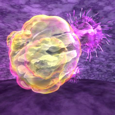 3d T Cell Microphage