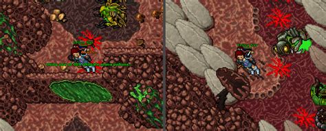 Tibia Duality
