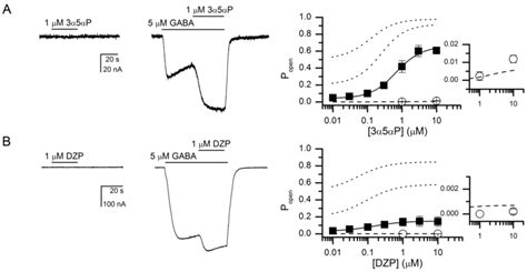 Activation Of The Wild Type Gaba A Receptor By Weak Agonists In The