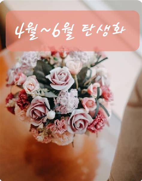 월별 탄생화 4~6월를 아시나요ㅡ2탄 네이버 블로그