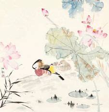 通透清雅任欢和她的小写意没骨花鸟画 搜狐大视野 搜狐新闻