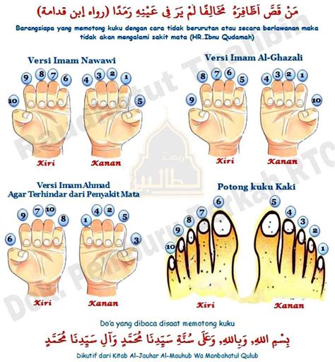 Cara Memotong Kuku Menurut Sunnah Nabi Dan Faedahnya Nyantri Yuk