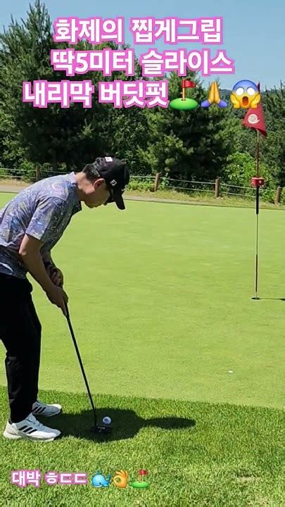 화제의 찝게그립😱🐳👌⛳️👍골프레슨아이언레슨필드레슨골프골프존퍼터퍼팅퍼터레슨퍼팅레슨비거리레슨드로우샷페이드샷드라이버샷레슨루틴숏게임숏게임레슨필드숏게임