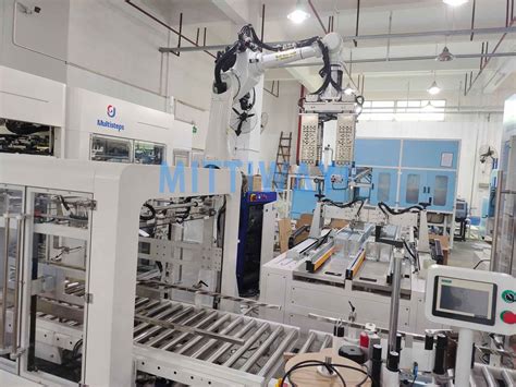 Plc Control Robotic Box Palletizer Machine With Multi Joint Robot Arm