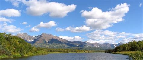 Openfoam编程 析模界