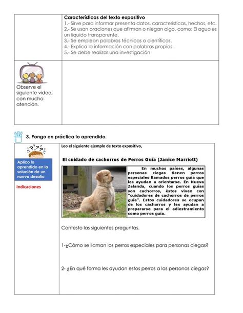 Textos Expositivos Ficha Interactiva Shopping Screenshot