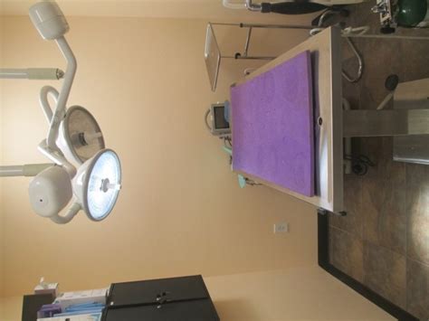 Surgery Cape Coral Pet Vet