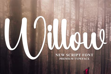Willow New Script Font Creative Market