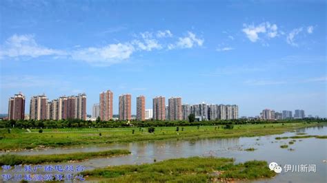 洛阳市委常委会对伊川2024年工作提出新要求澎湃号·政务澎湃新闻 The Paper