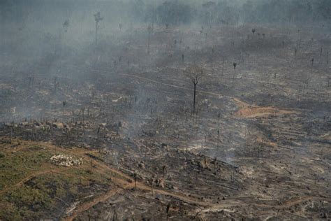 Los Incendios Forestales Aumentan Los Niveles De Contaminación