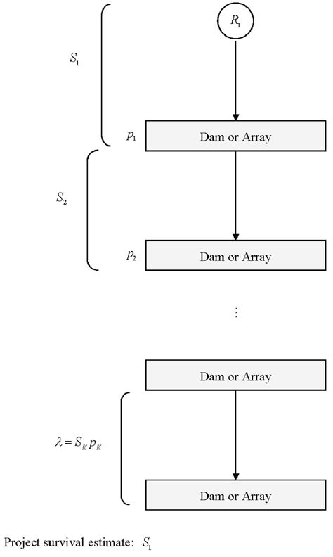 Schematic Of A Single Release Recapture Design With Release Location Download Scientific