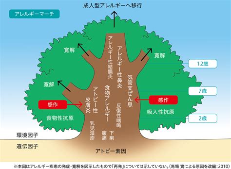 アレルギーについて アレルギーとは アレルギーポータル
