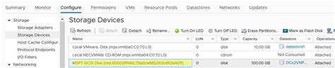 configuring iscsi datastore lun on vmware esxi windows os hub