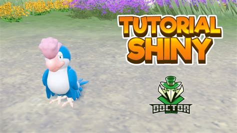 Squawkabilly Shiny Asegurado [pokémon Escarlata Y Púrpura] Youtube