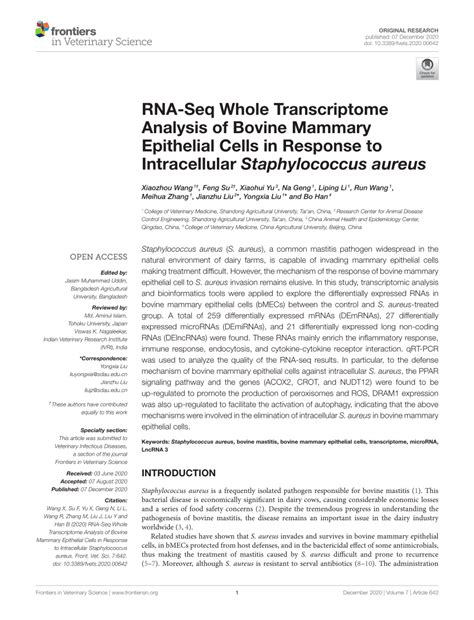 Pdf Rna Seq Whole Transcriptome Analysis Of Bovine Mammary Epithelial