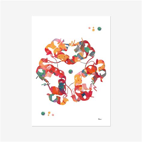 Insulin Science Print Insulin Peptide Hormone Structure Poster Mimiprints Anatomy Prints And