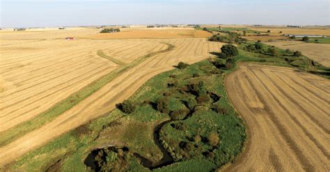 Proper Design Of Saturated Riparian Buffers Critical To Nitrate Removal