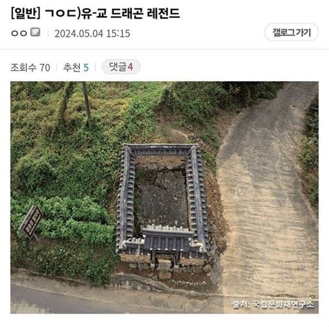 실존하는 유교 드래곤